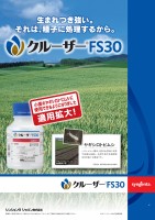 L2034_クルーザーFS30 小麦版チラシ_